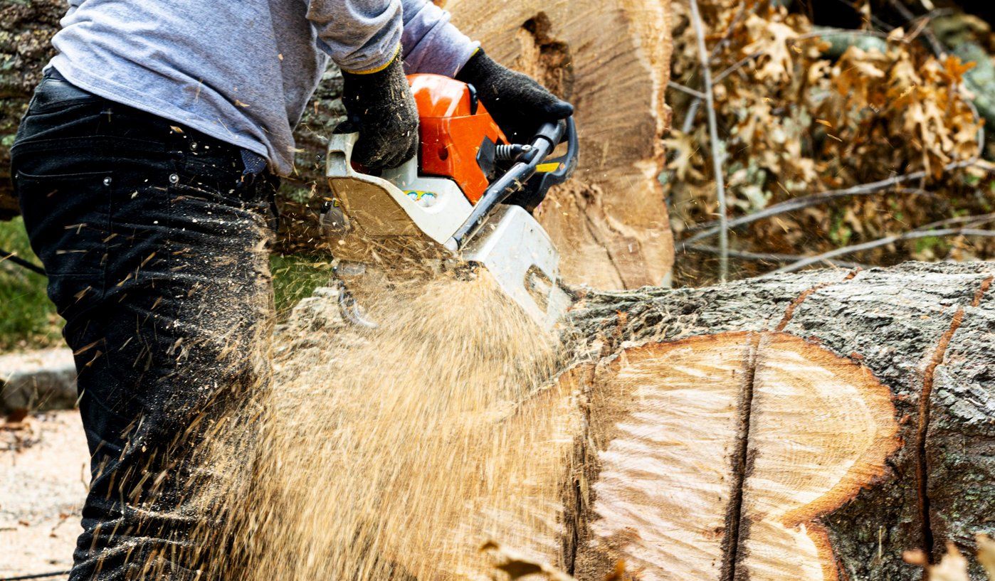 Contact Dillon Tree Service | Triad Region, NC