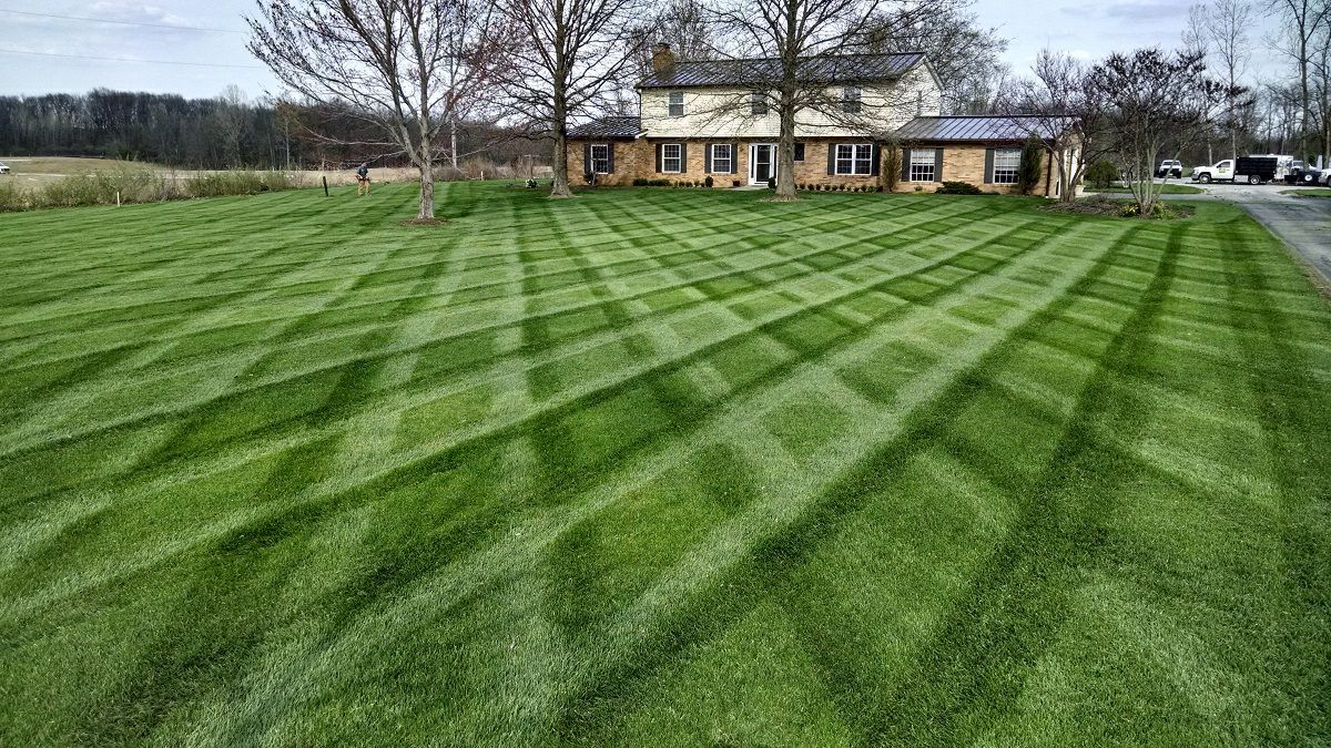 Commercial Lawn Maintenance Columbia, MO