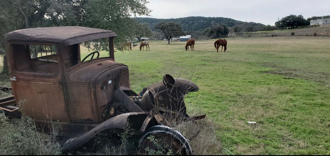 Gallery | Helotes Hill Country Zip Lines