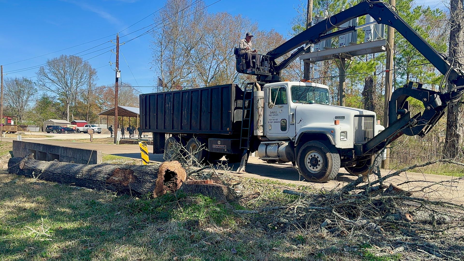 Gallery | Davis Tree Experts | Vidor, TX | Beaumont, TX