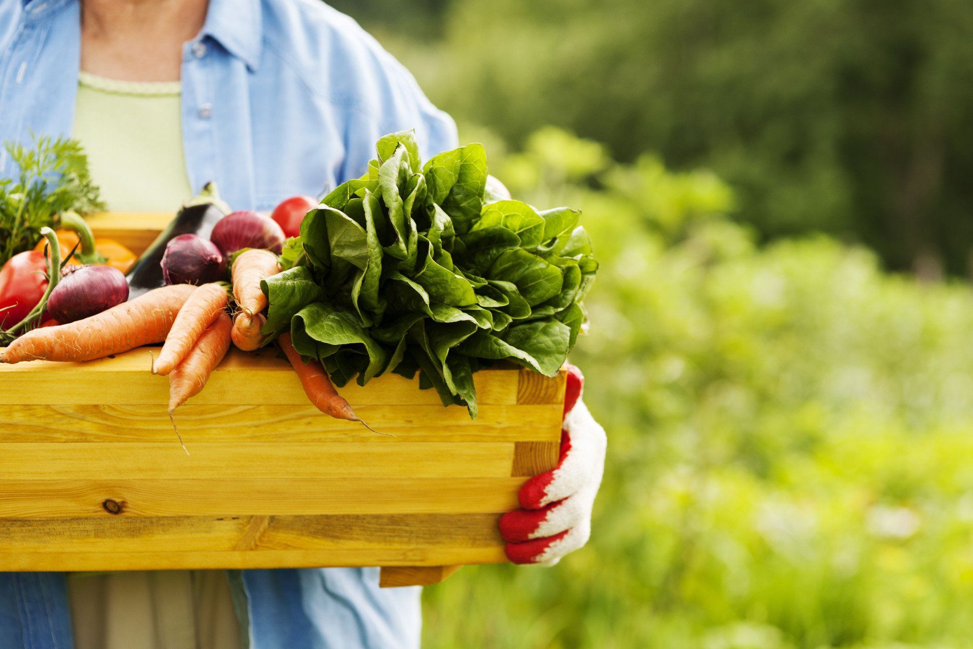 How To Landscape Your Yard To Accommodate A Vegetable Garden