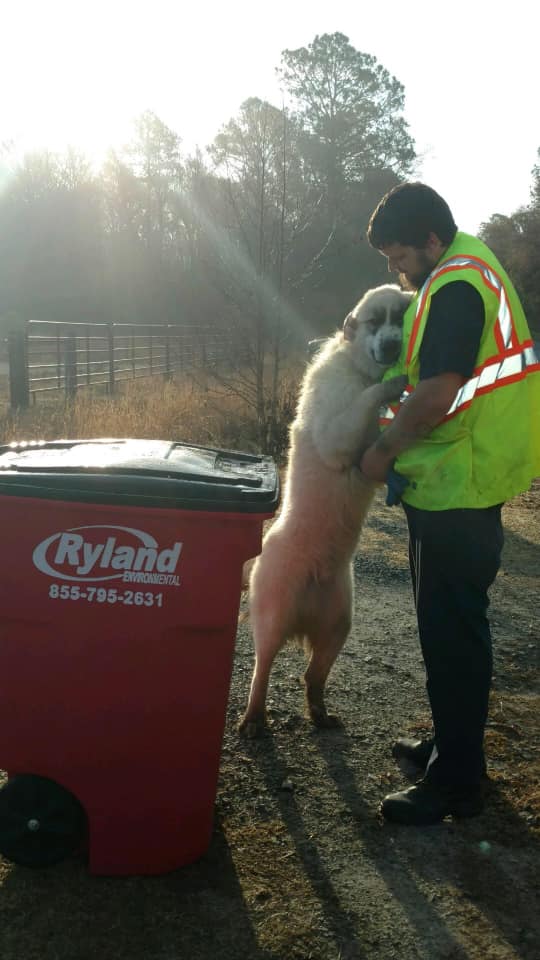 Ryland Environmental | Trash Removal | Dublin, GA