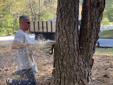 Huckabee Tree Service | Tree Specialists | Covington, GA