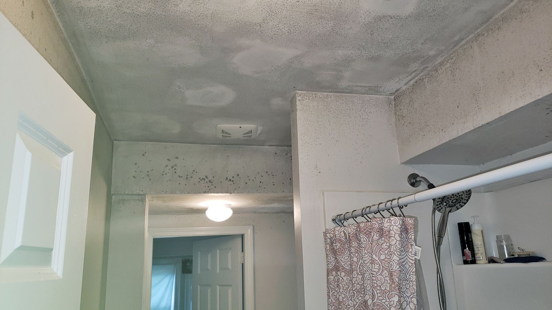 Mold Inspection Braintree, MA | Randolph, MA
