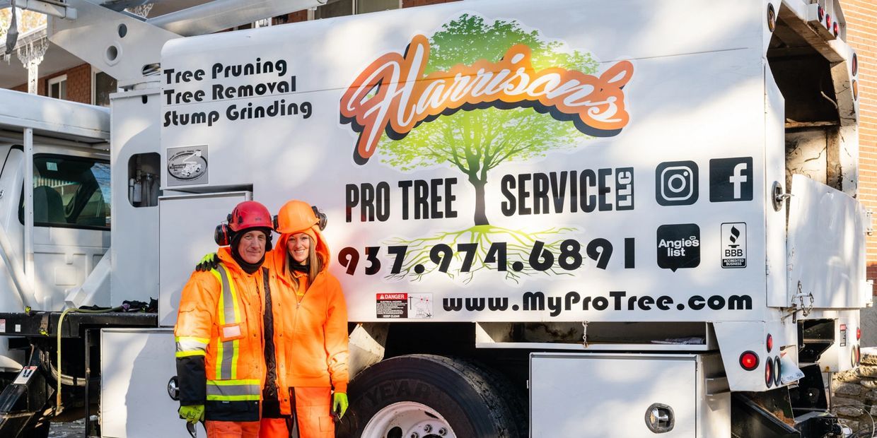 Arborist Springboro, OH | Harrison's Pro Tree Service