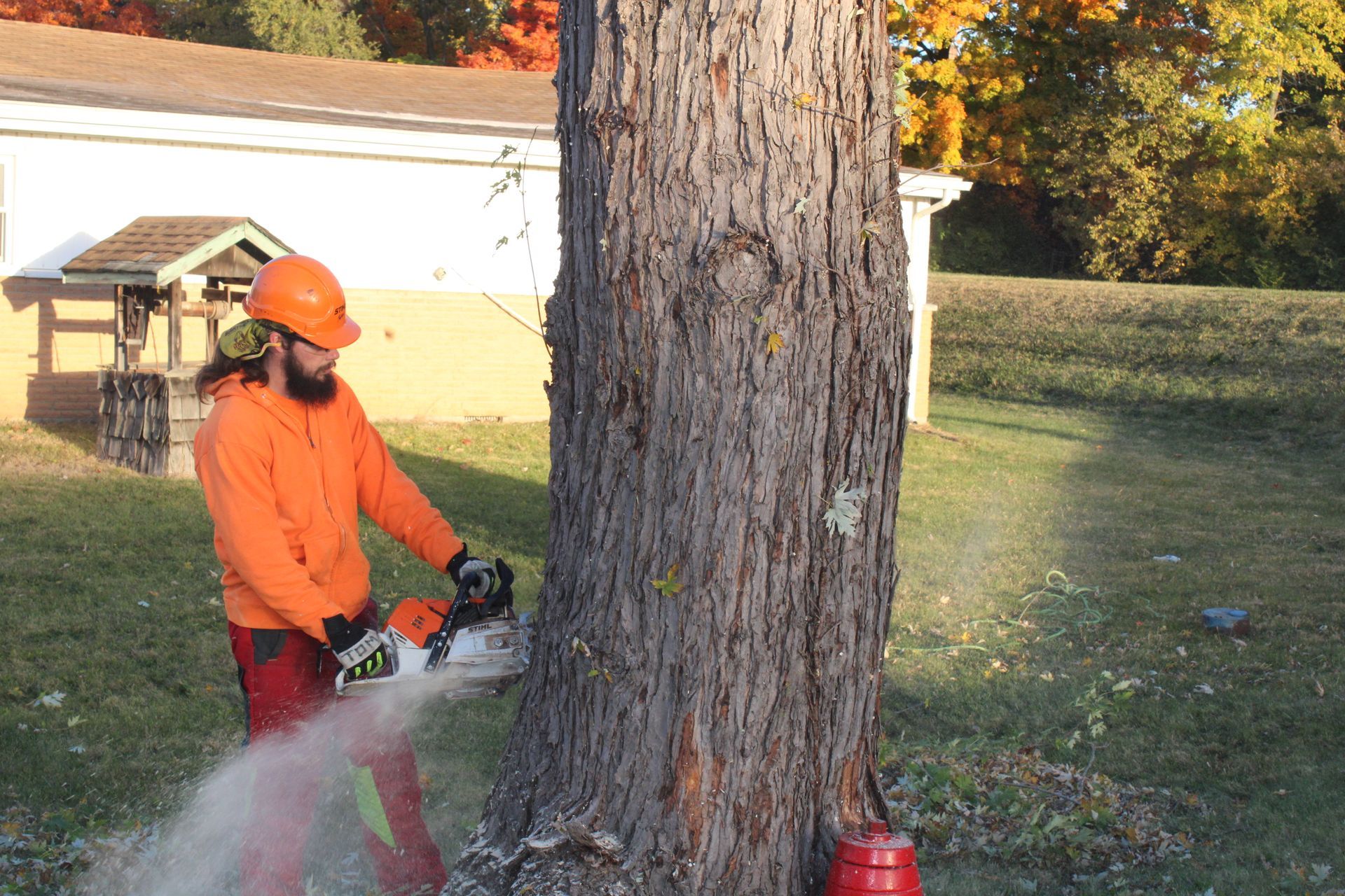 Arborist Springboro, OH | Harrison's Pro Tree Service