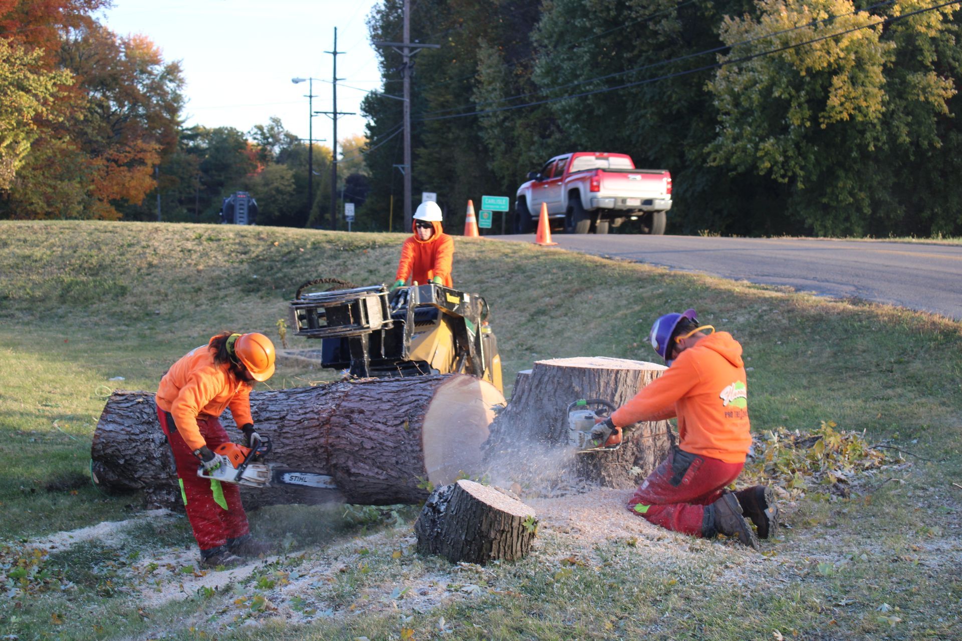 Arborist Springboro, OH | Harrison's Pro Tree Service