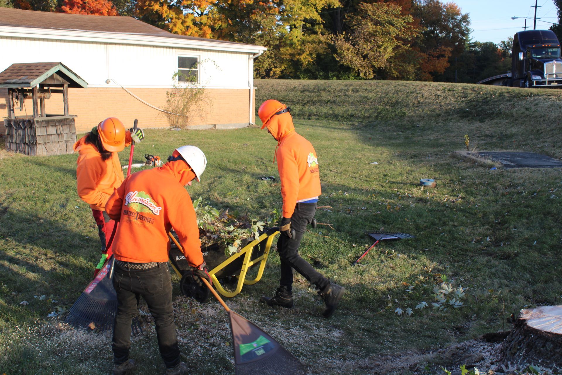 Harrison's Pro Tree Service | Tree Care | Franklin, OH