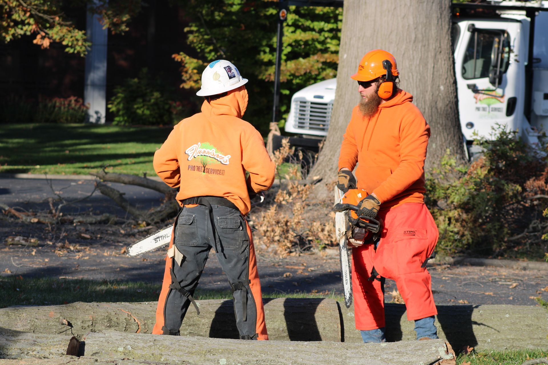 Harrison's Pro Tree Service | Tree Care | Franklin, OH