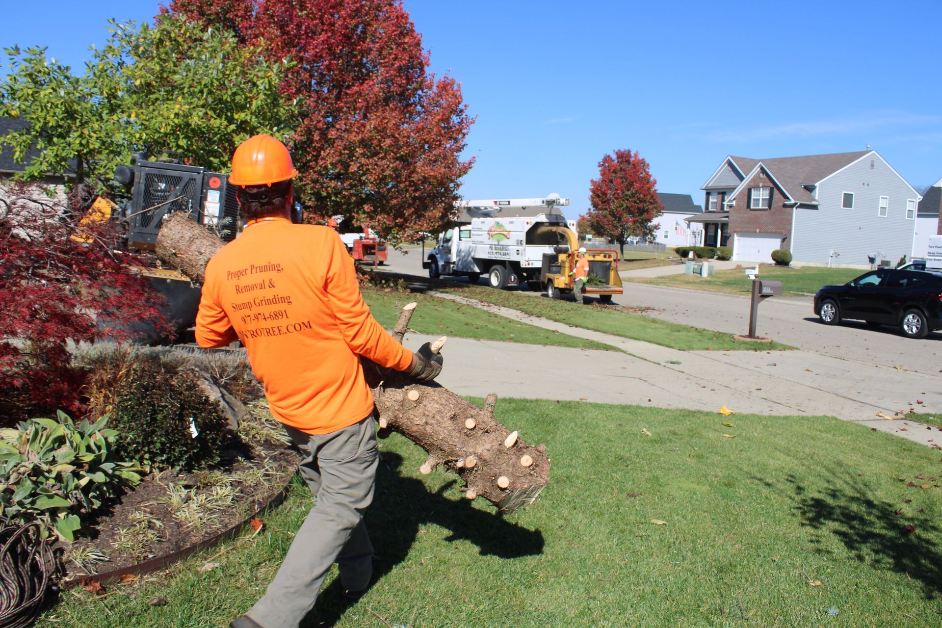 Arborist Springboro, OH | Harrison's Pro Tree Service