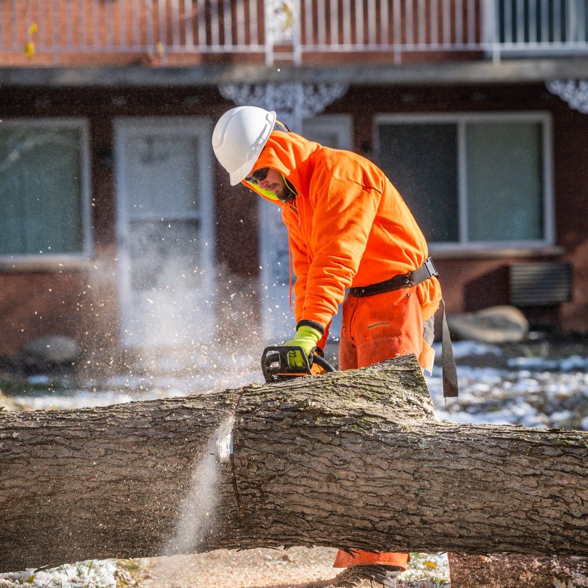 Harrison's Pro Tree Service | Tree Care | Franklin, OH