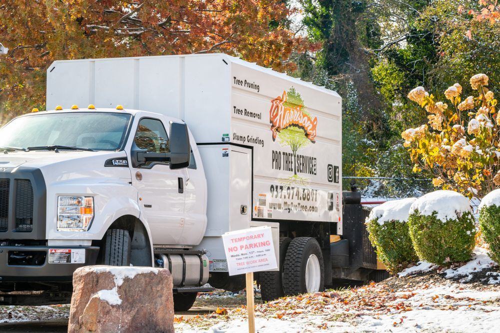Harrison's Pro Tree Service | Tree Care | Franklin, OH