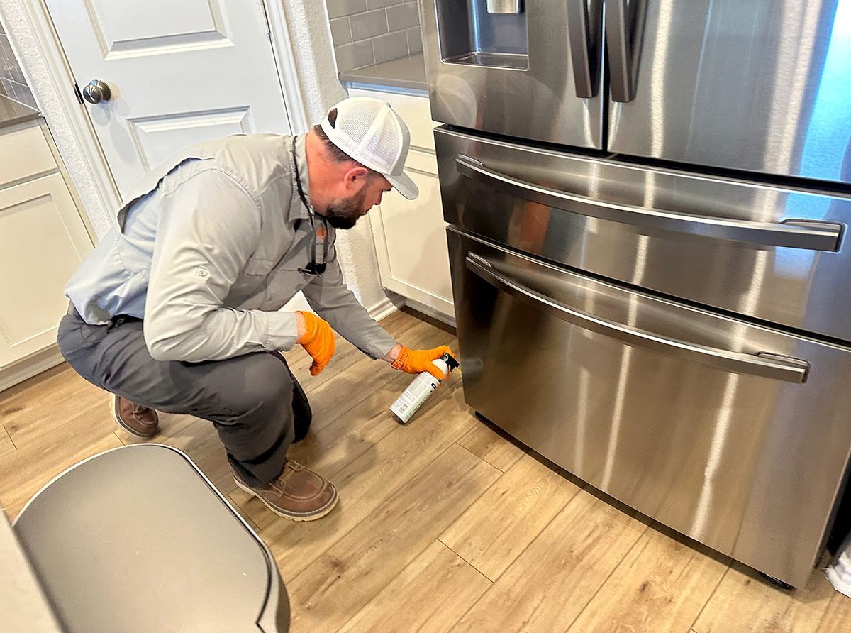 Pest Control | HUB Pest Solutions | New Braunfels, TX