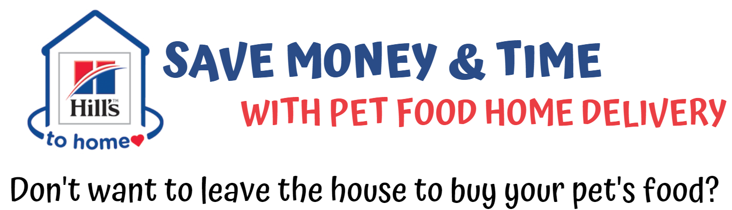 About the Team at Bethany Animal Hospital Sycamore Veterinarians