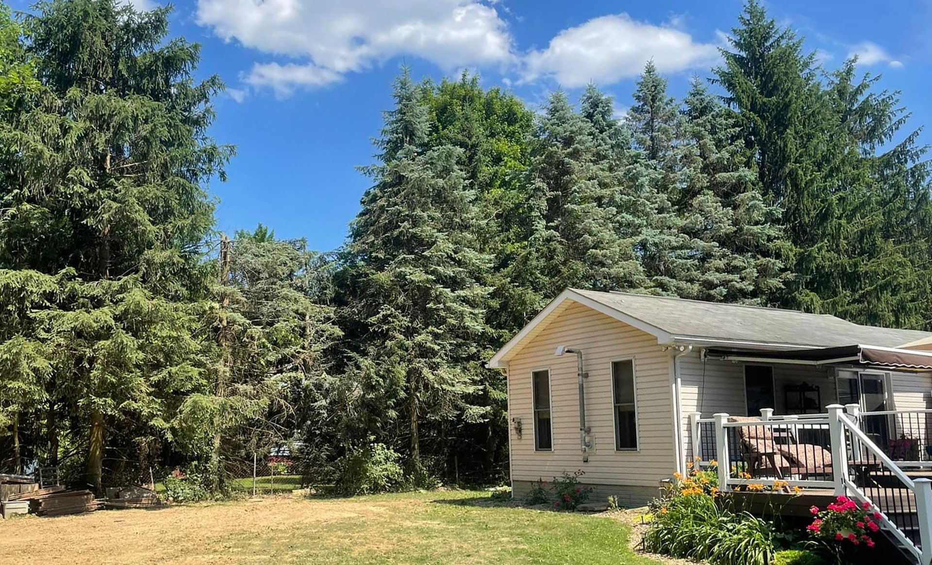 Toth Tree Services LLC | Cabot, PA