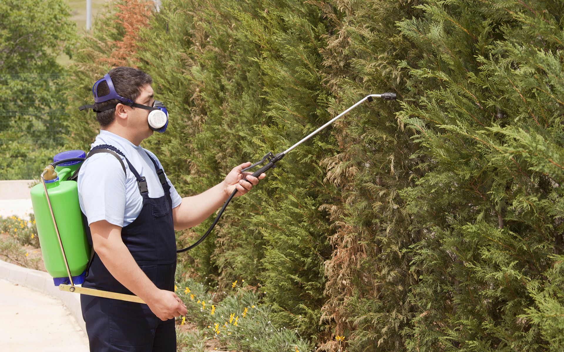 American Pest Control | San Diego County, CA