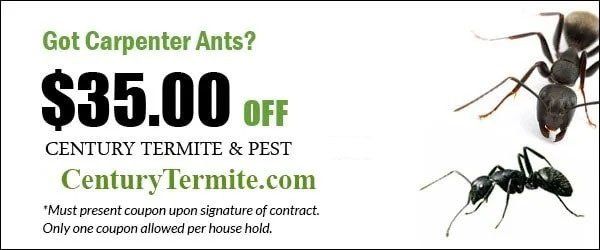 Century Termite & Pest | Pest Control | Sterling, VA