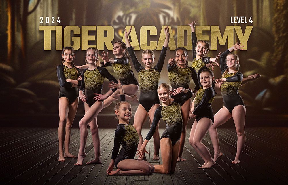 Classes | Tiger Academy of Gymnastics | Columbia, MO