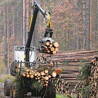 About Randy Elliott Logging, Inc. | Stantonville, TN Logging