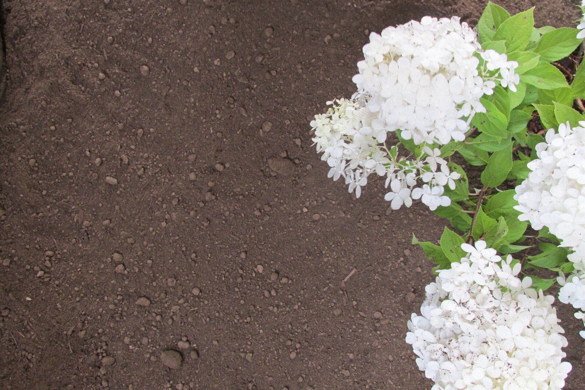 Nolt's Garden Center - Bulk Mulch & Topsoil Delivery - Lebanon PA