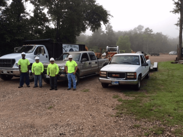 Tree Service Conroe, TX | Top Cut Tree Service