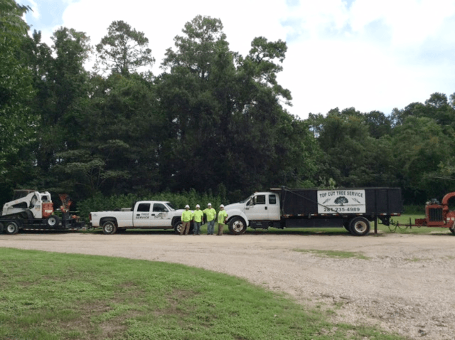 Tree Service Conroe, TX | Top Cut Tree Service