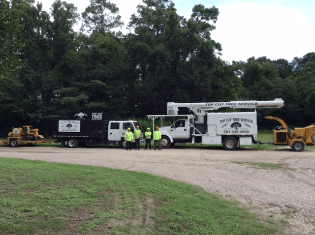 Tree Service Conroe, TX | Top Cut Tree Service