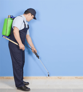 Cleveland Termite & Pest Control, LLC - Pest Control | Vincennes, IN