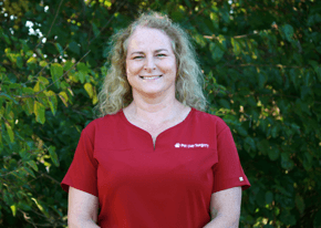 About Pet Day Surgery | Lebanon, PA Medical Care for Pets