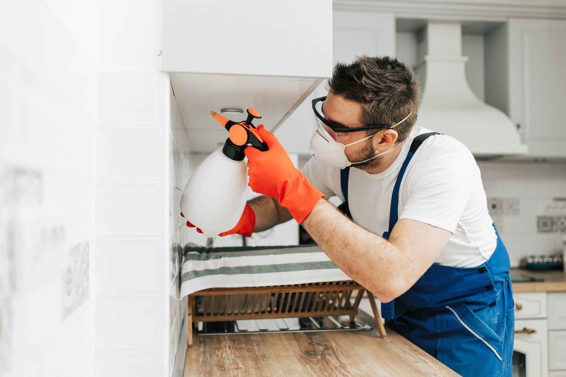 Contact Dart Services | Atoka, TN