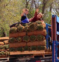 Premier Turf Farms | Turf | Round Hill, VA