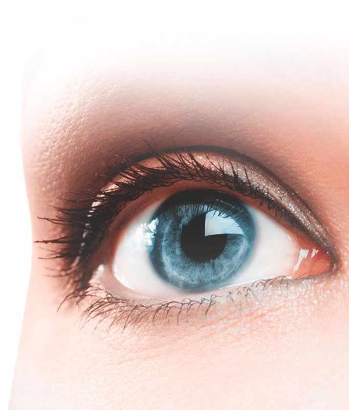 Ward Eye Center | Vision Care Eye Surgeon | Homosassa, FL