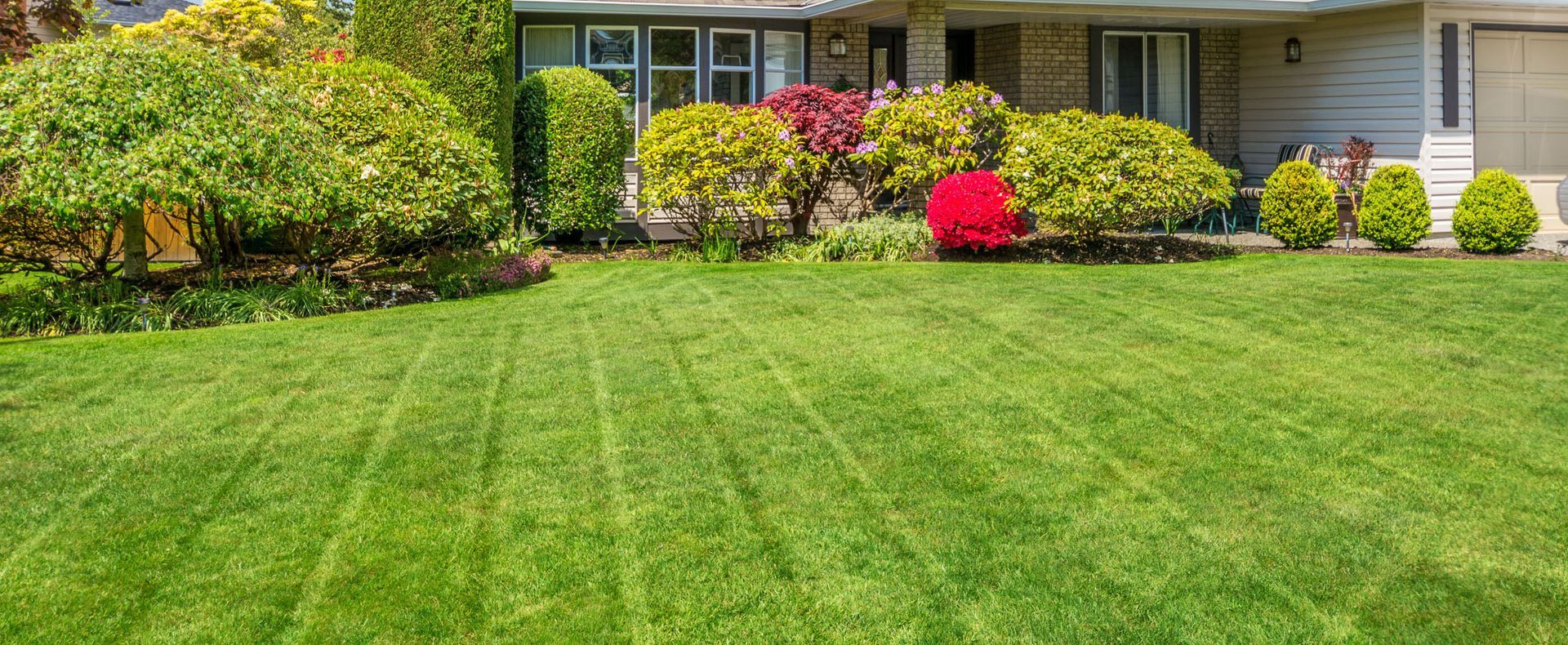 Expert Lawn Care & Landscaping | Red Lab Lawn Care, LLC | Upstate South ...