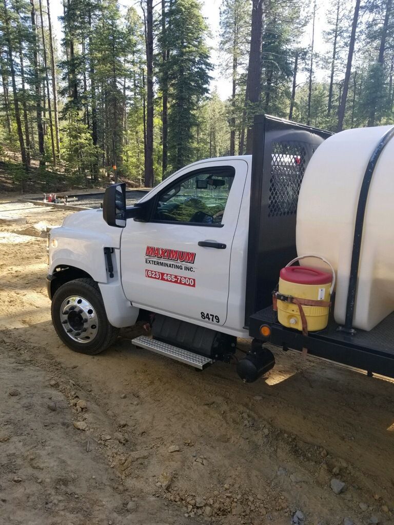 Pest and Termite Control in Anthem, Carefree, New River & Cave Creek