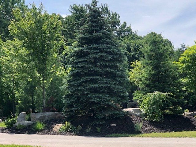 Newfound Focus on Immersive Landscaping