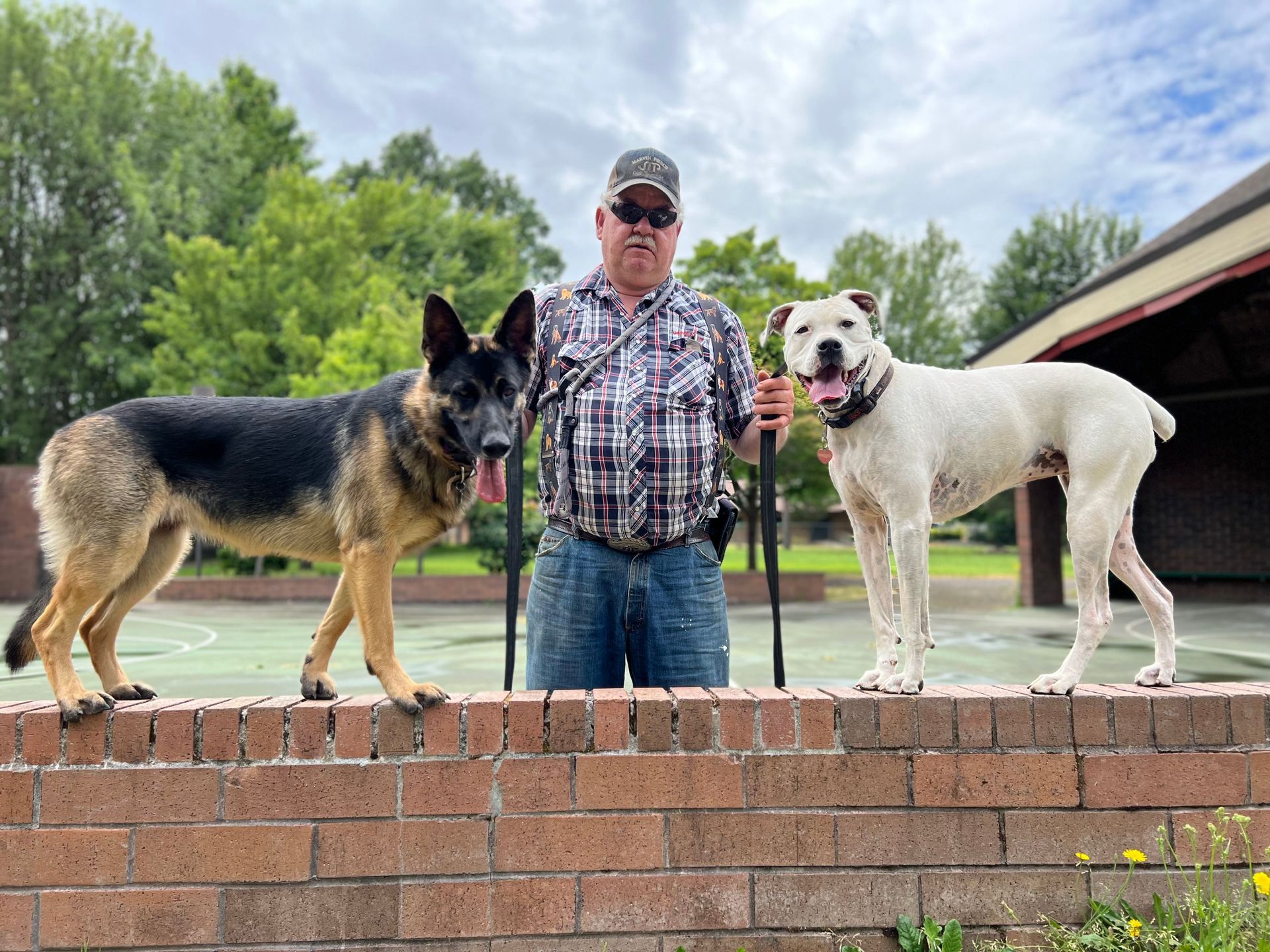 Who We Are | Marvin Pierce Dog Teacher LLC