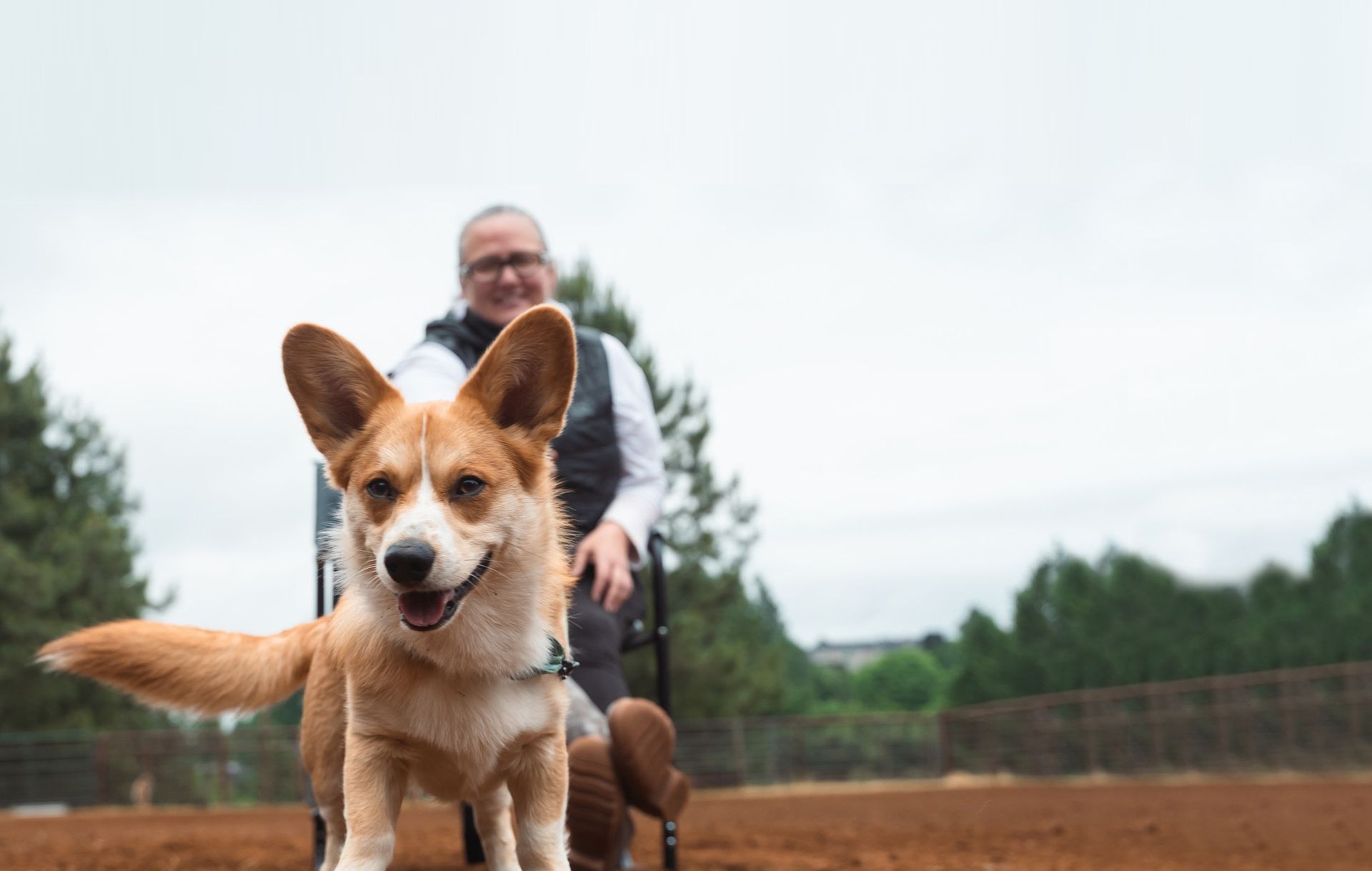 Dog Trainer | Marvin Pierce Dog Teacher LLC | Sherwood, OR