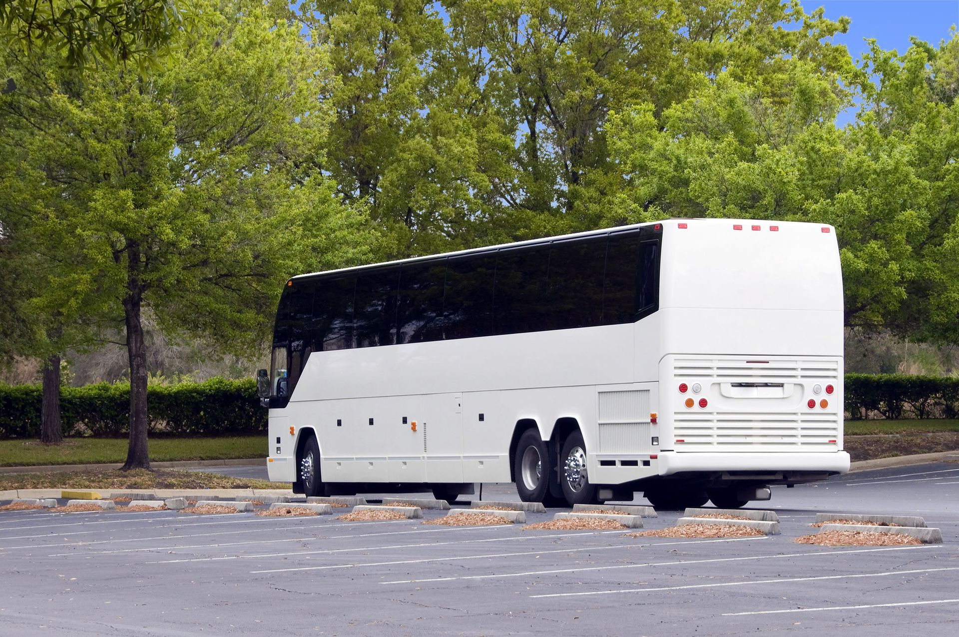 Motor Coach Rentals | Black History Month