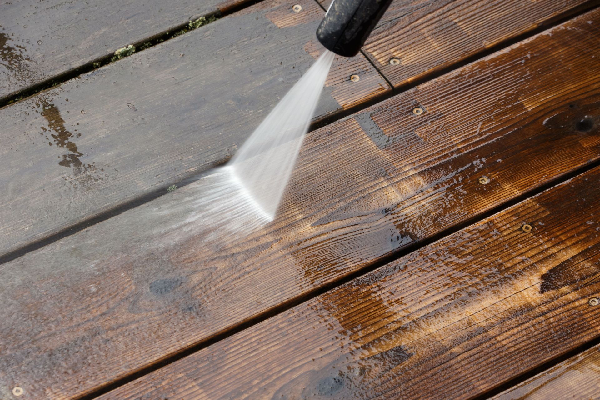 Roof Stain Removal | Apex, NC