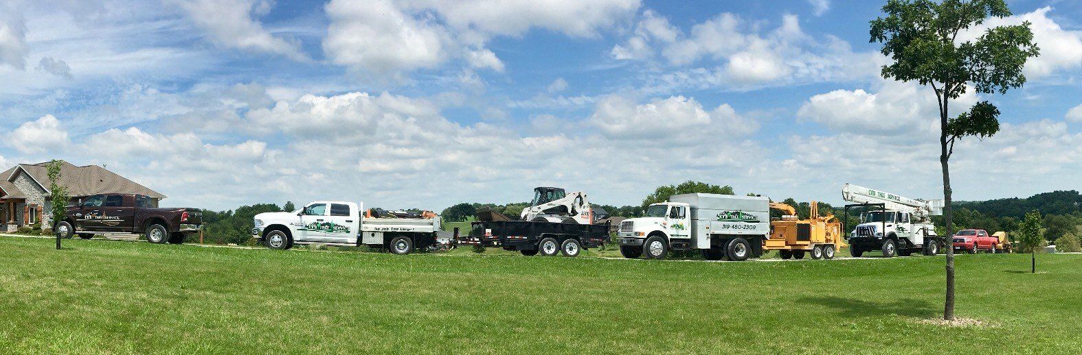 Cy's Tree Service | Tree Services | Anamosa, IA