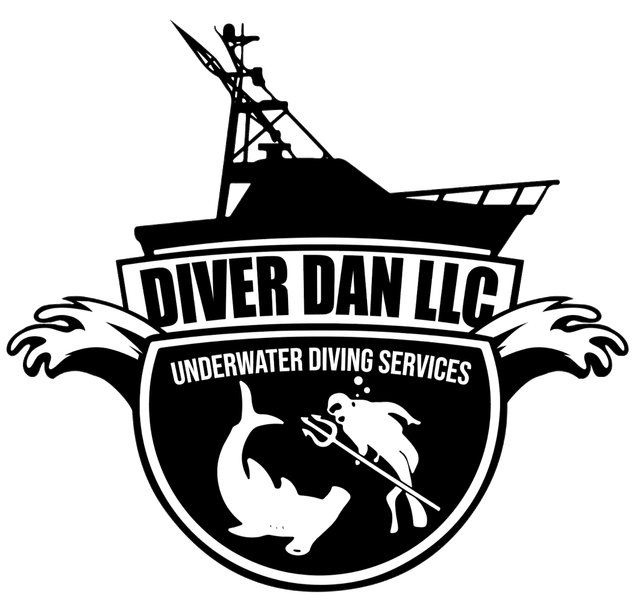 Diver Dan Quotes