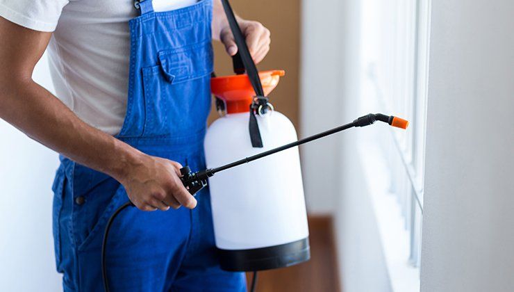 Residential Pest Control Nampa, ID | Wilkinson Pest Control