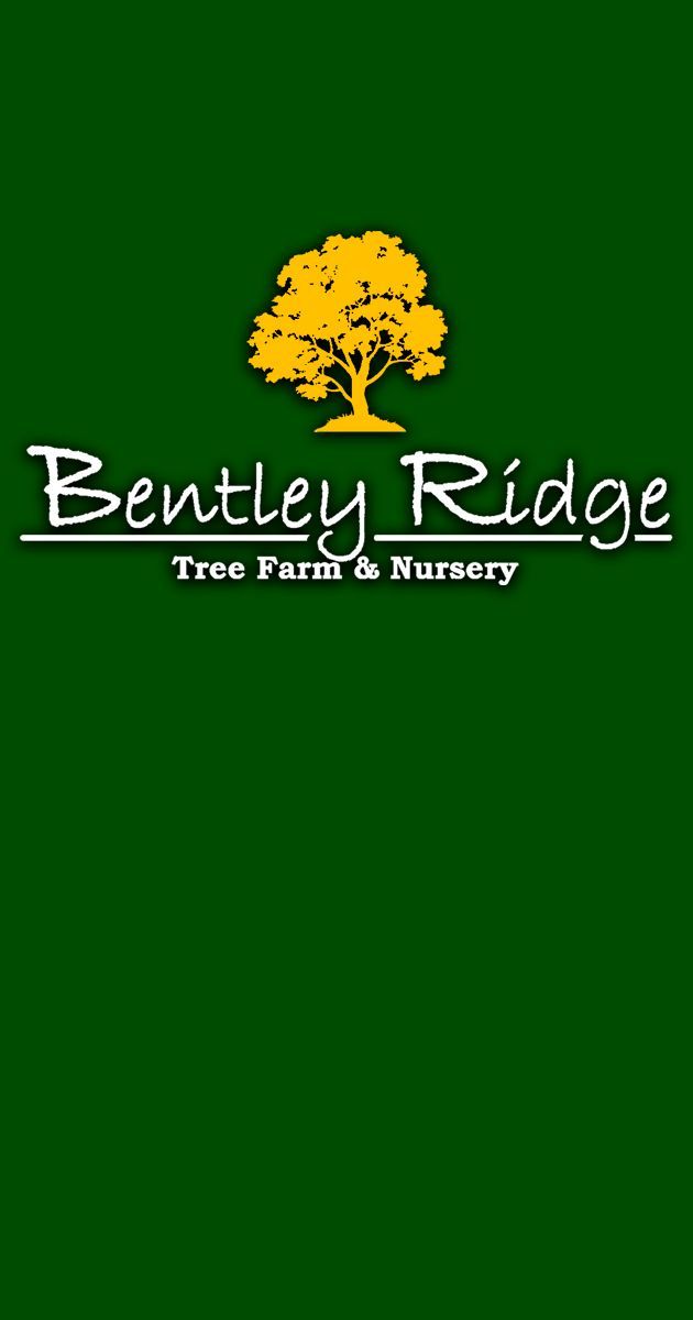 About Bentley Ridge Tree Farm & Nursery | Grimes, IA