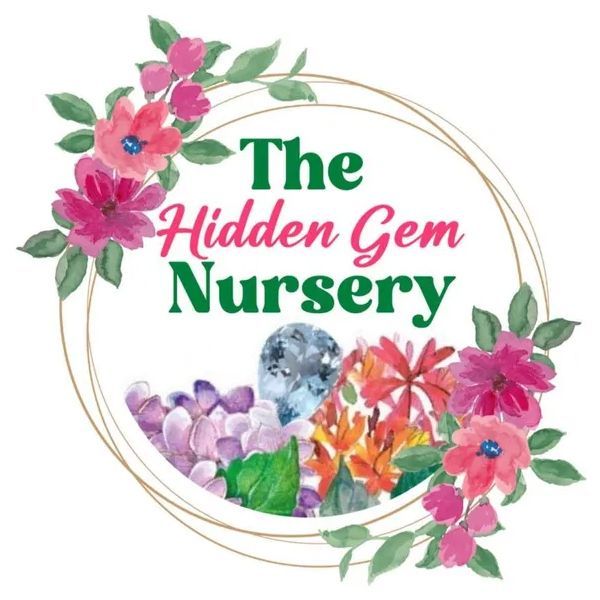 Landscaping Services | Dickinson, TX