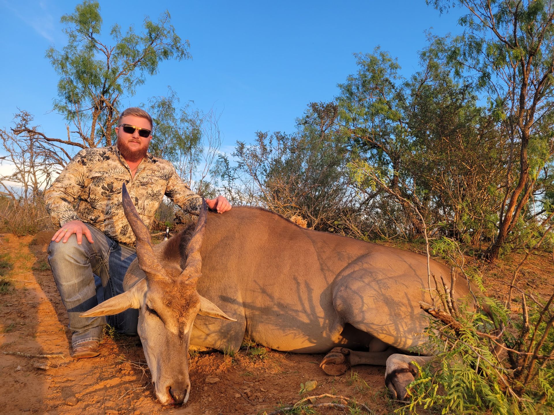 Exotic Animal Hunting | G2 Ranch