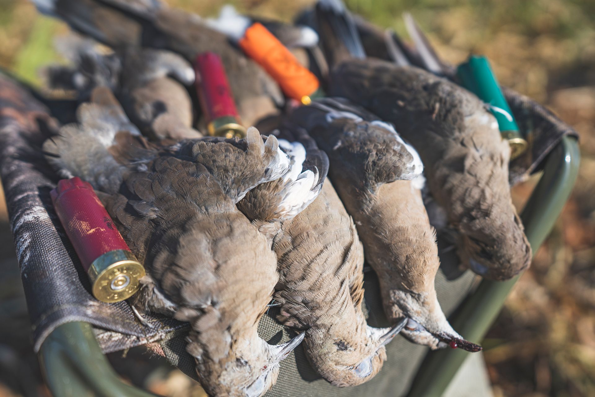 South Texas Hunts | G2 Ranch