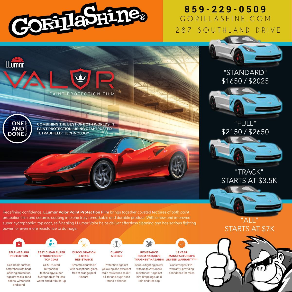 Paint Protection Film (PPF) | Lexington, KY