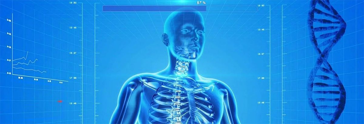 Bioenergetic Health & Wellness Research Studies | Westminster, MD