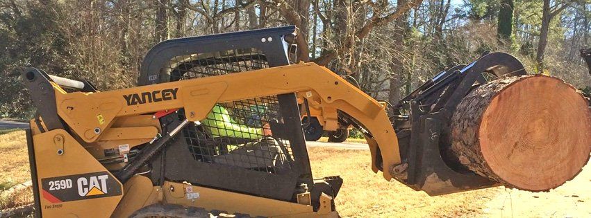 TreeDog Atlanta Services LLC | Tree Specialists Scottdale GA
