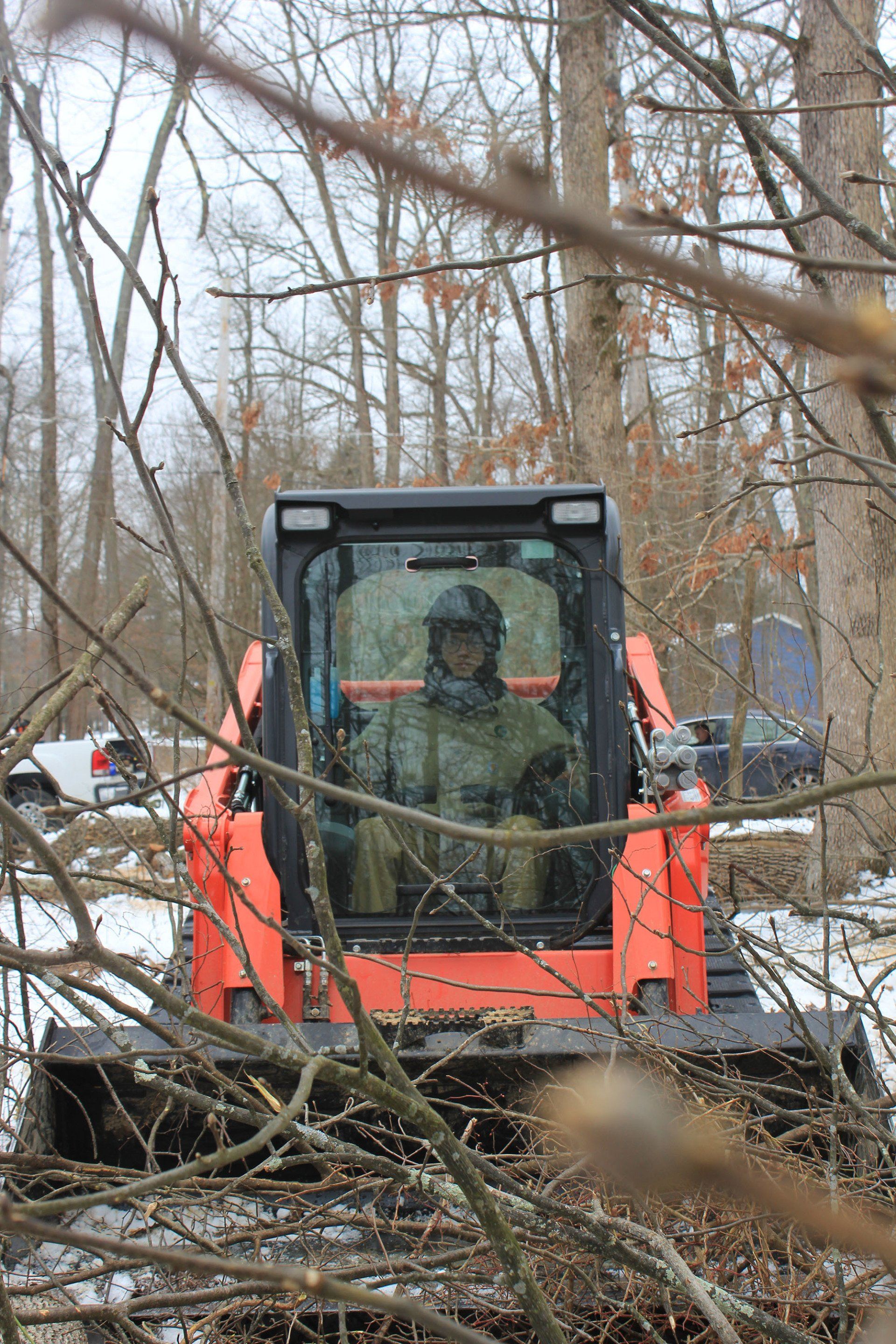 Backwoods Tree Service | Arborist | Stroudsburg, PA